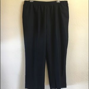 Alfred Dunner | Pants & Jumpsuits | Alfred Dunner Pull On Plus Size ...